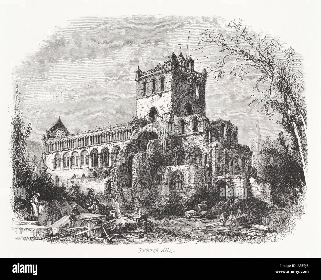 jedburgh abbey Roxburgh Roxburghshire Scottish Scotland scot border UK ...