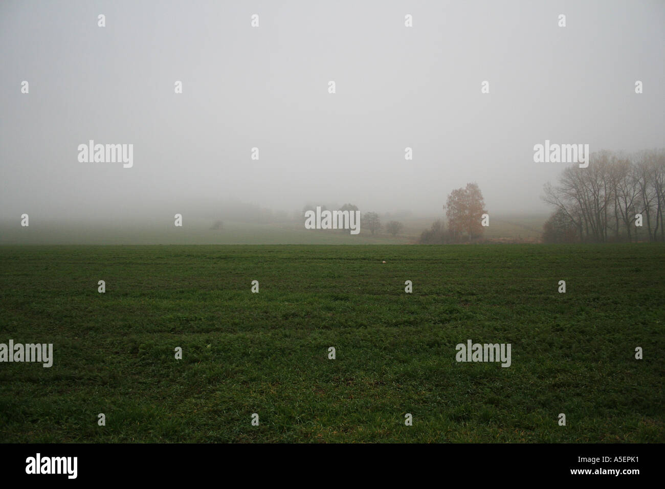 Obscured by greenery hi-res stock photography and images - Alamy