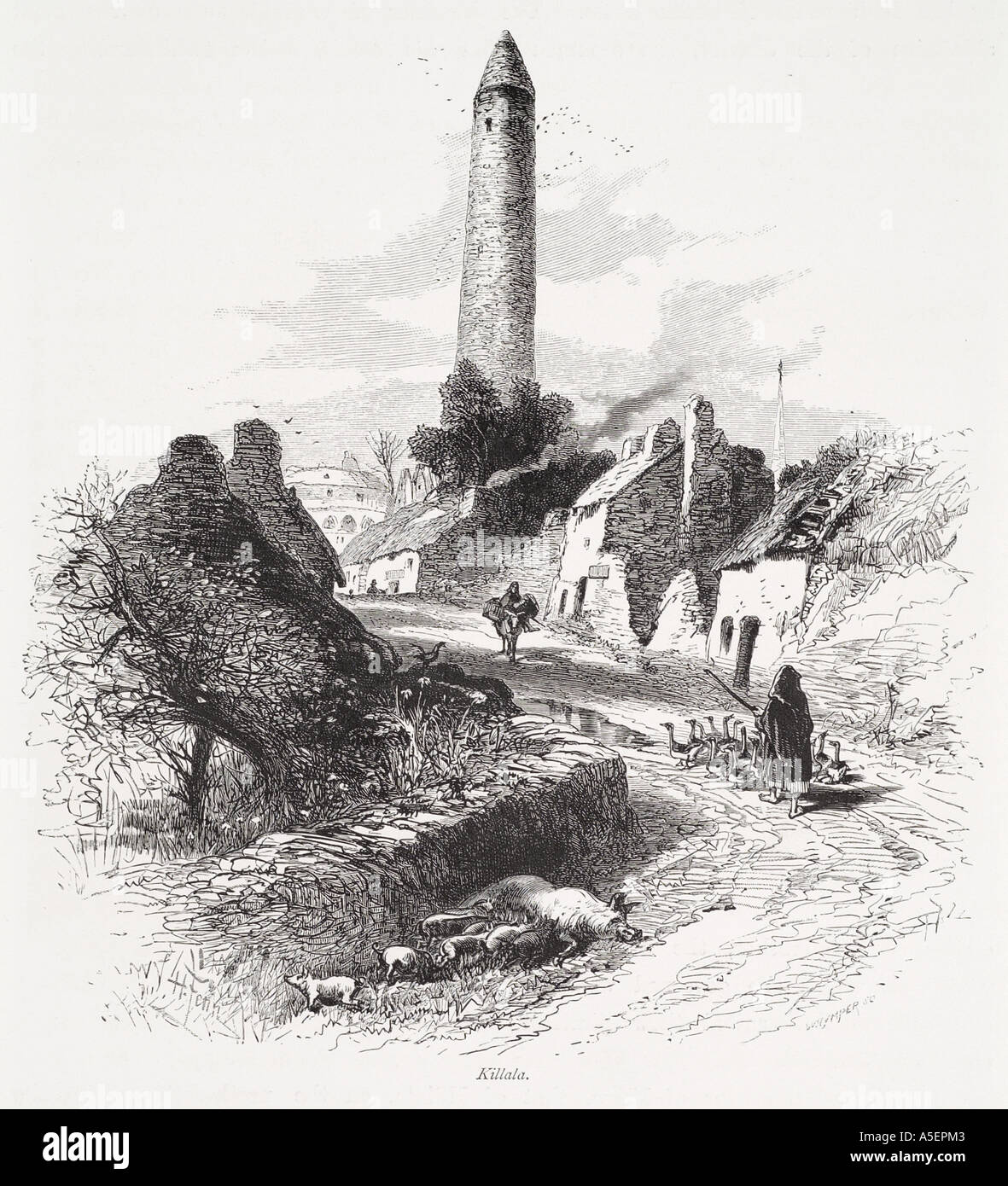 Killala round tower hi-res stock photography and images - Alamy