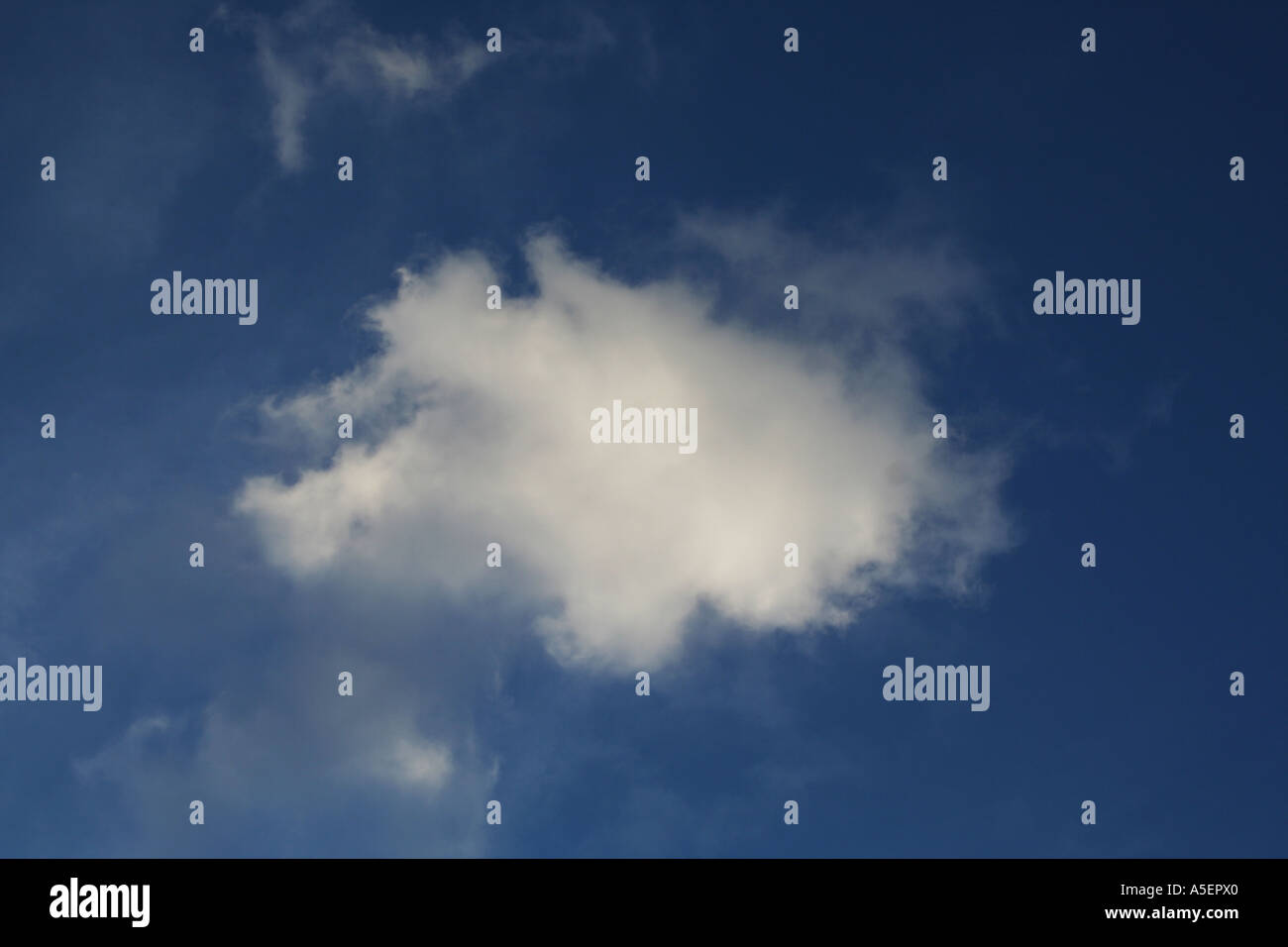 Single white cloud floating in the vivid blue sky Stock Photo - Alamy