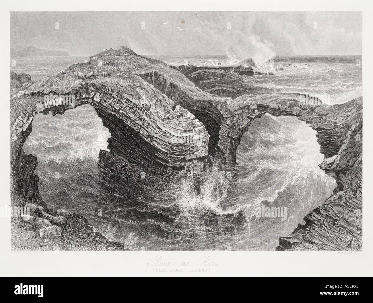 Victoria clare hi-res stock photography and images - Alamy