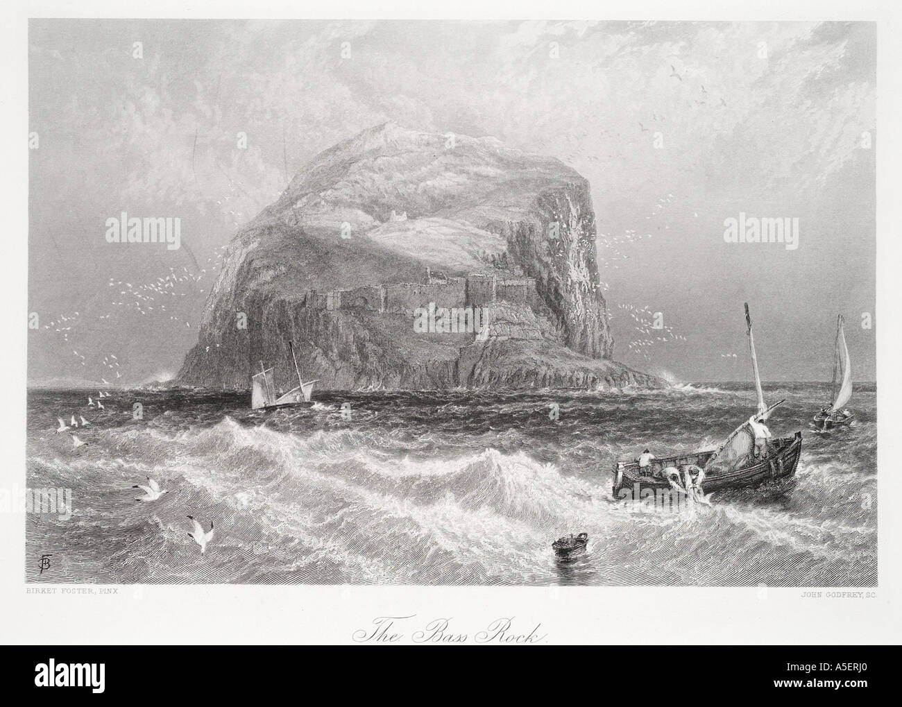 bass rock North Berwick East Lothian Firth Forth Dunbar marine fort ...