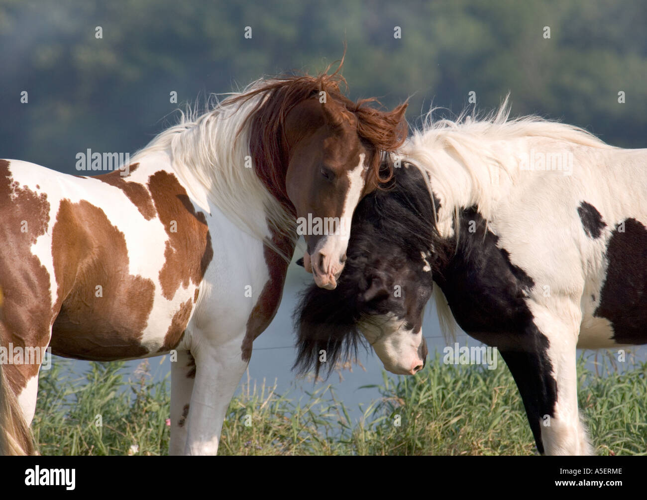 Momentarily hi-res stock photography and images - Alamy