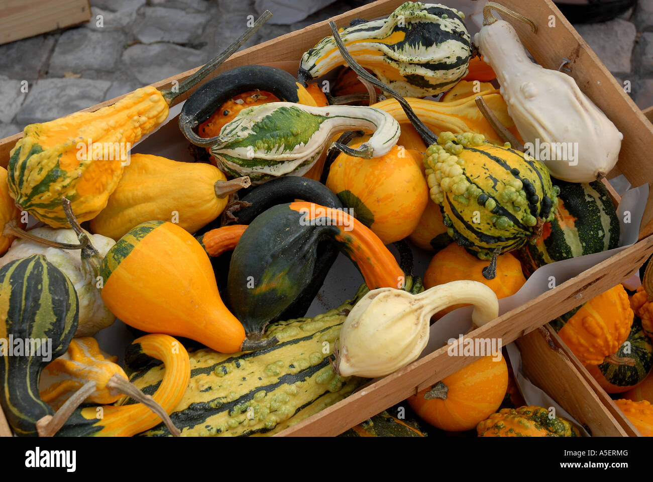 Malveira hi-res stock photography and images - Alamy