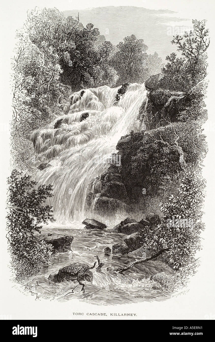 Torc cascade Killarney Fall county Co Kerry cascade tumble forest tree ...