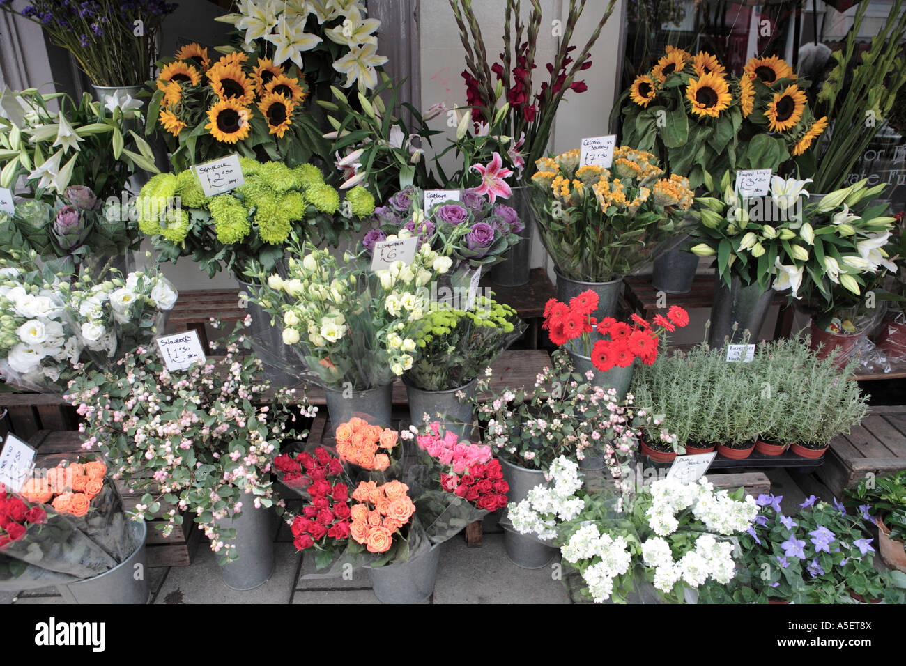 Display of mixed flowers outside florist Stock Photo - Alamy