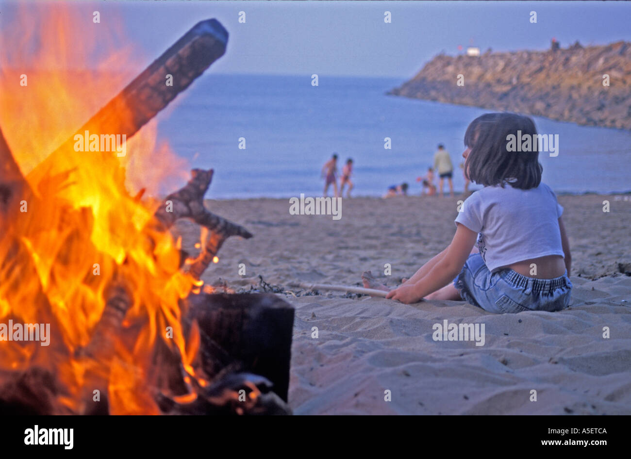 Jacksons bay hi-res stock photography and images - Alamy