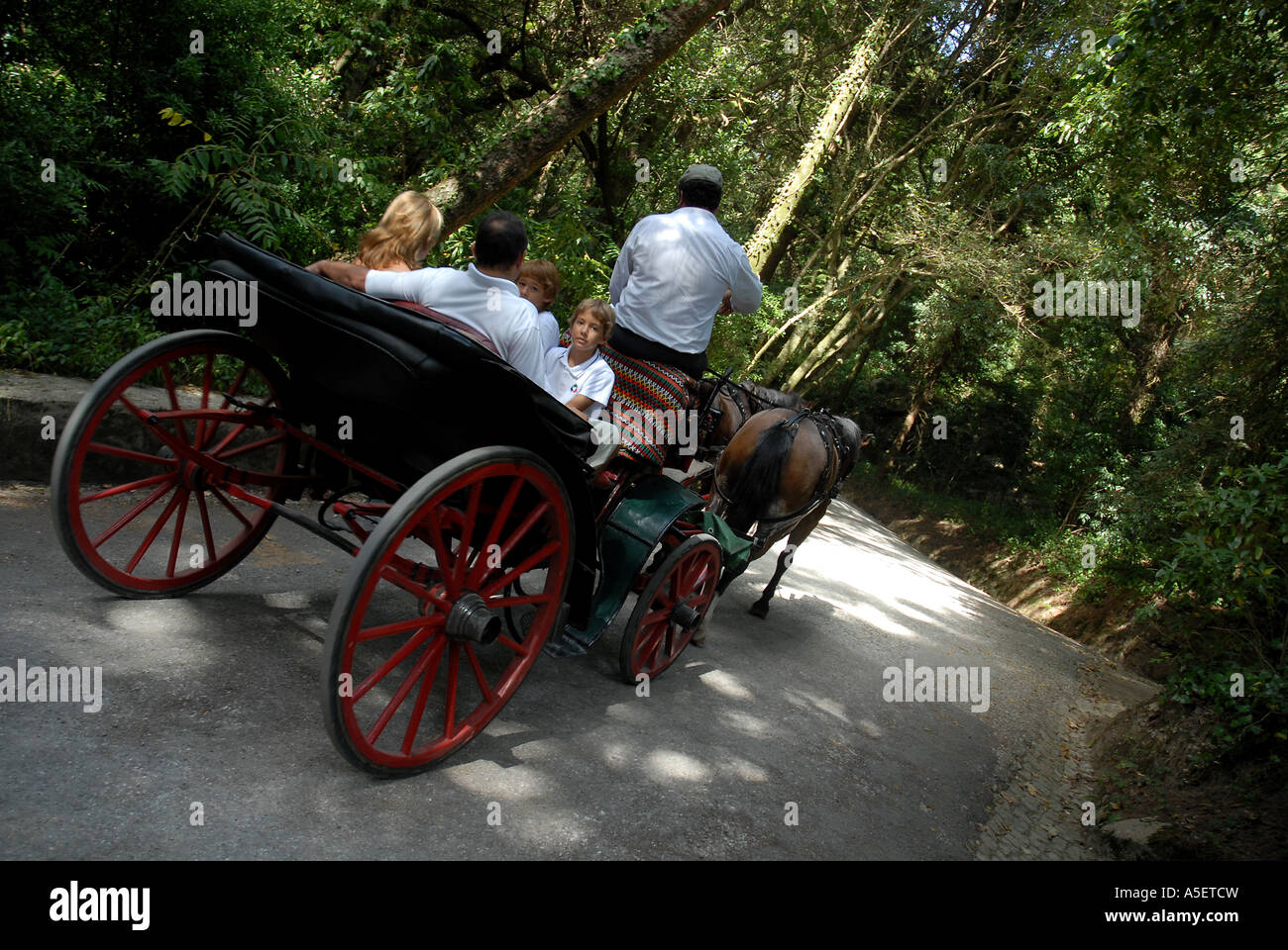 A horse cart rides through the royal gardens of Pena Palace Stock Photo ...
