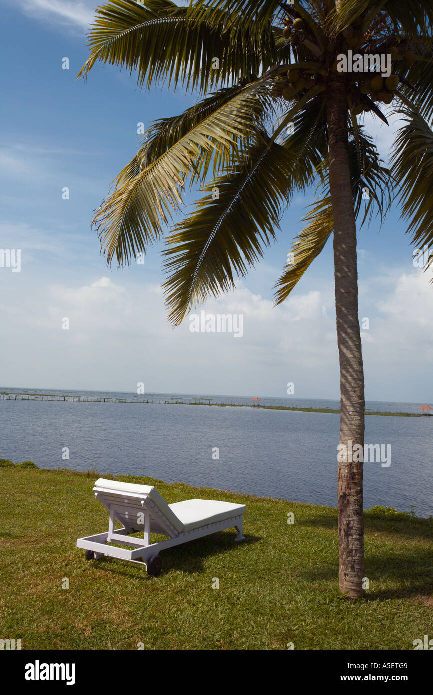 Deckchair next to palm tree overlooking lake Stock Photo - Alamy