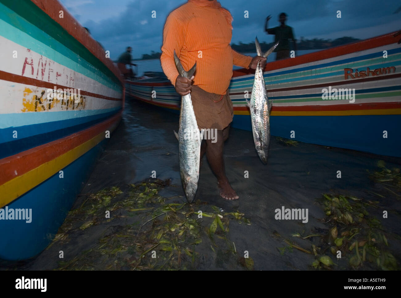 Indian man carrying fish Stock Photo - Alamy