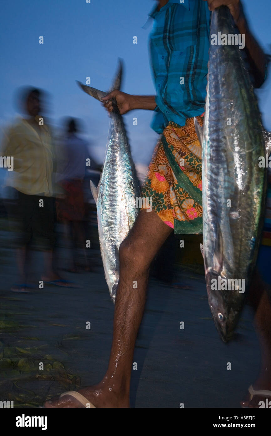 Indian man carrying fish in each hand Stock Photo - Alamy