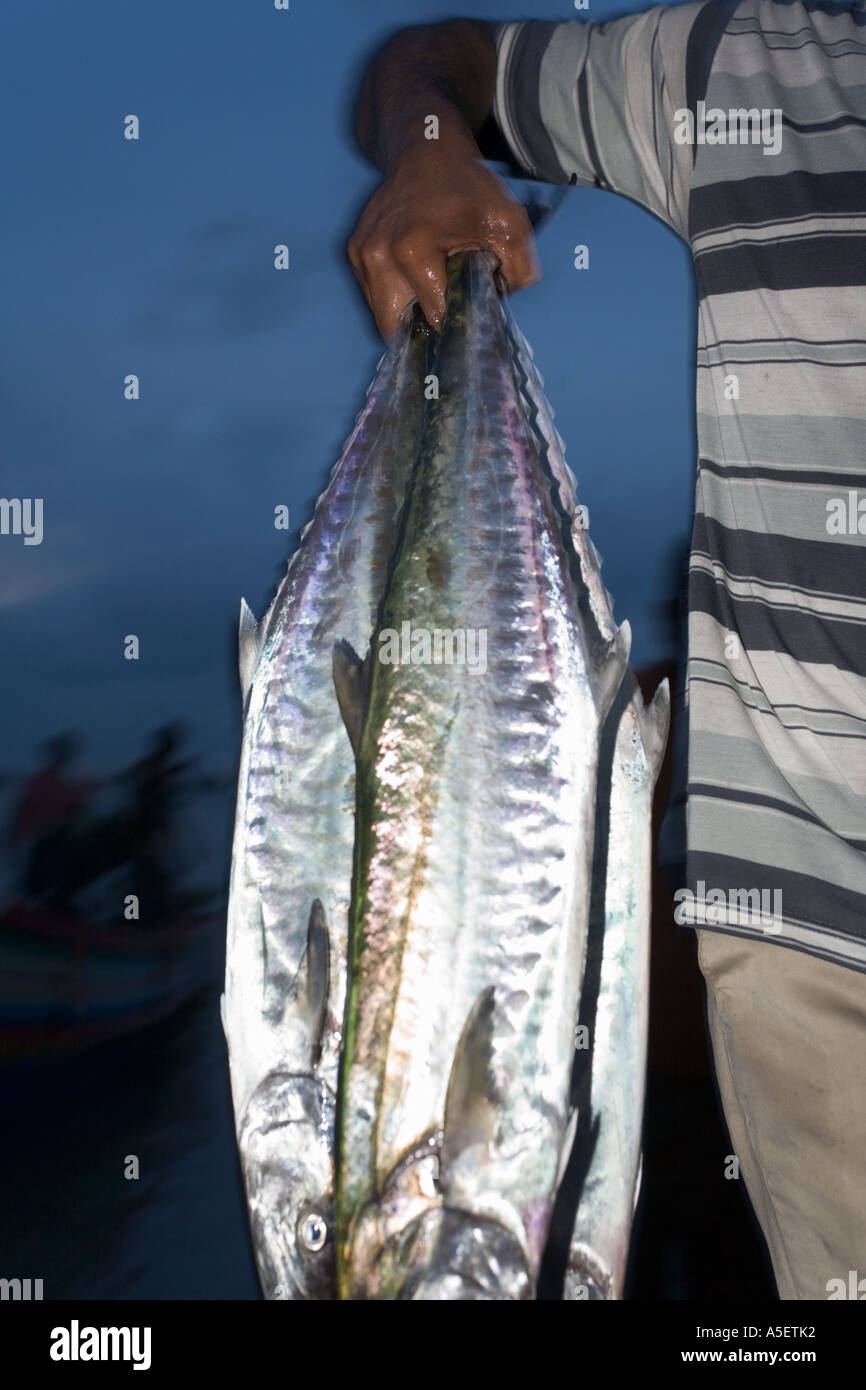 Man setting up fishing hi-res stock photography and images - Alamy