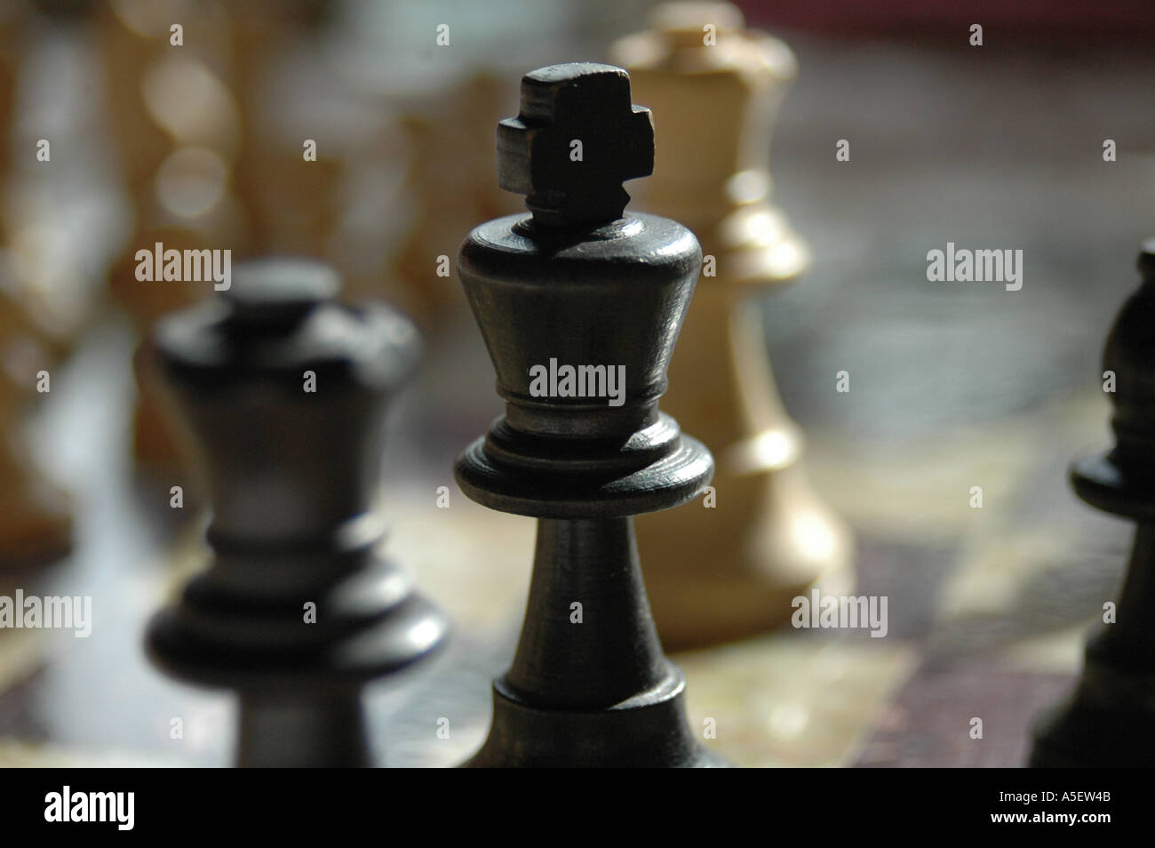 the chess king Stock Photo - Alamy