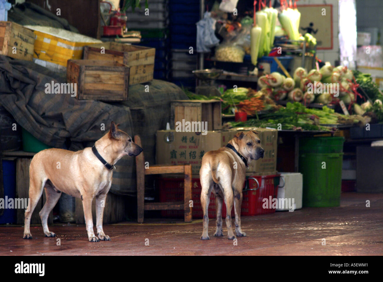 Thief china hi-res stock photography and images - Alamy