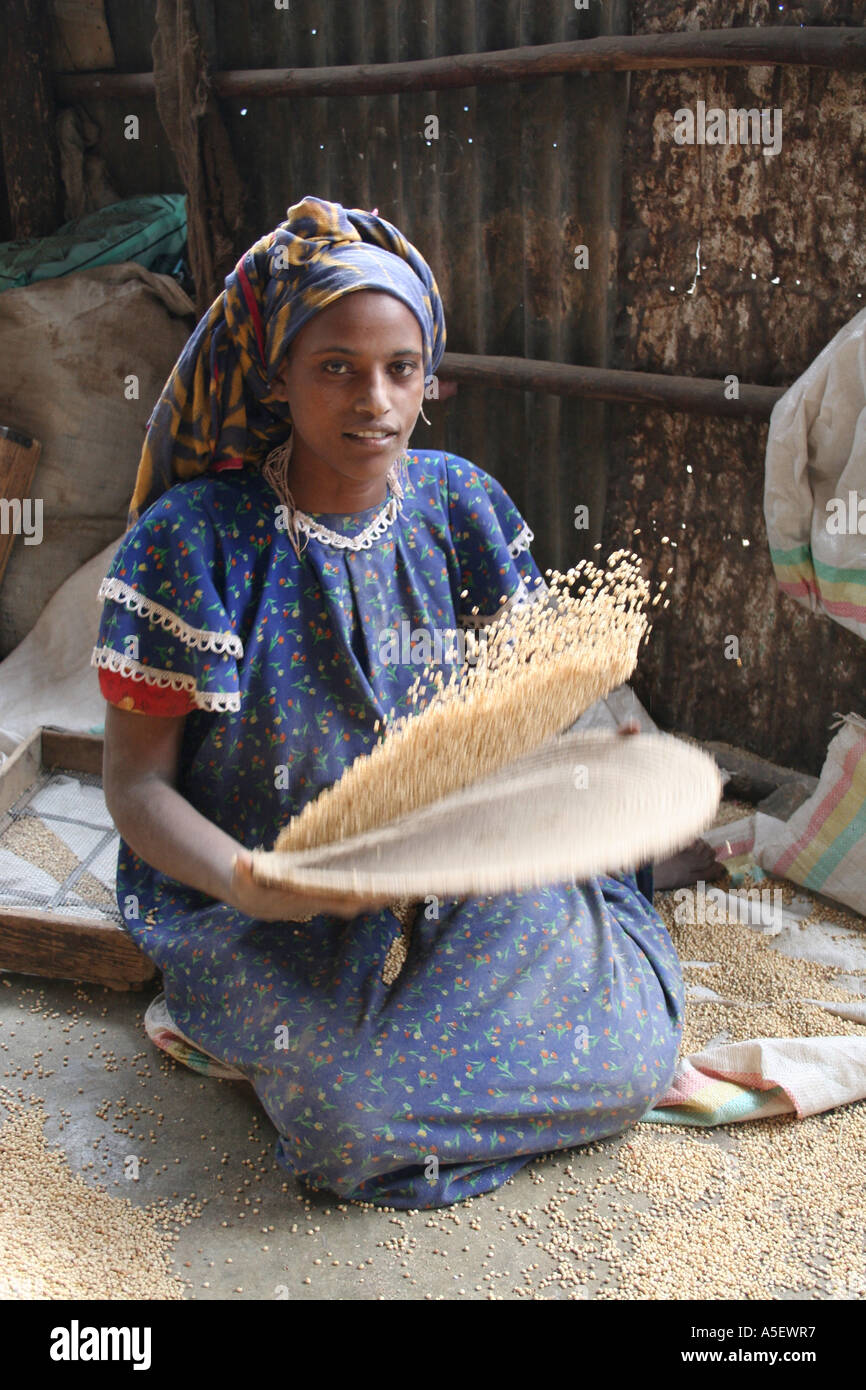 Harar, Ethiopia, young woman threshing grain in a market Stock Photo ...