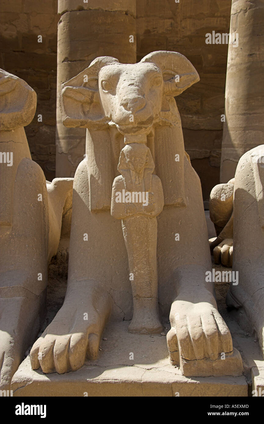 Ram Sphinx in the Temple of Karnak, Luxor, Egypt Stock Photo - Alamy