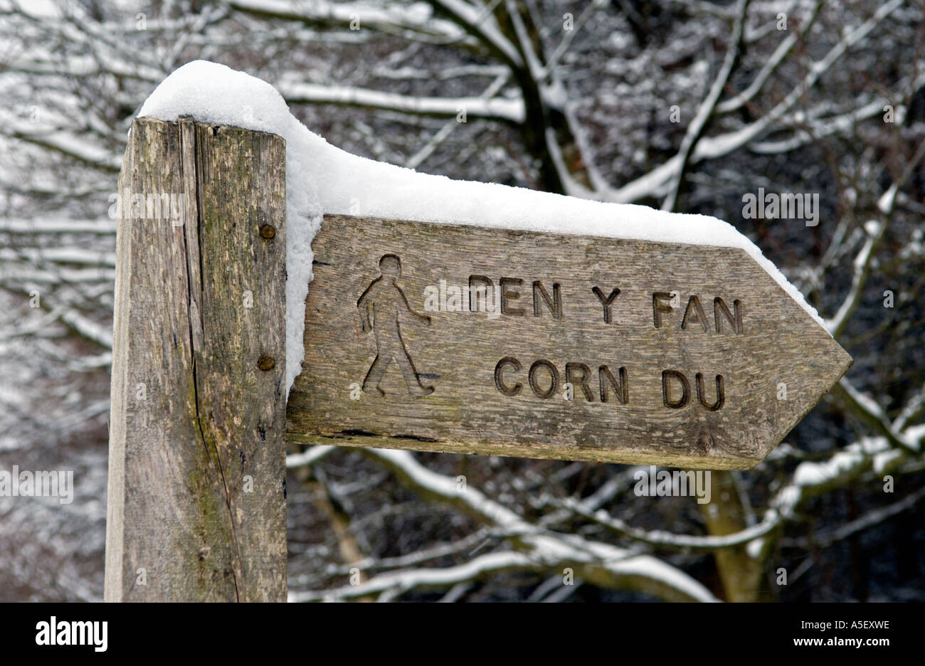 Corn du sign hi-res stock photography and images - Alamy