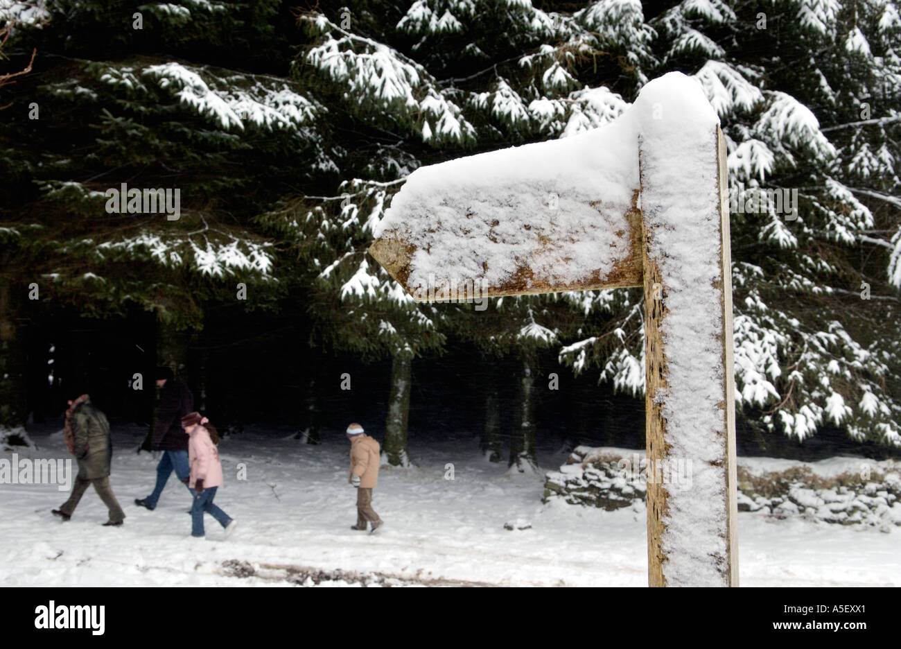 Countryside footpath signs covered in winter snow in the Brecon Beacons ...
