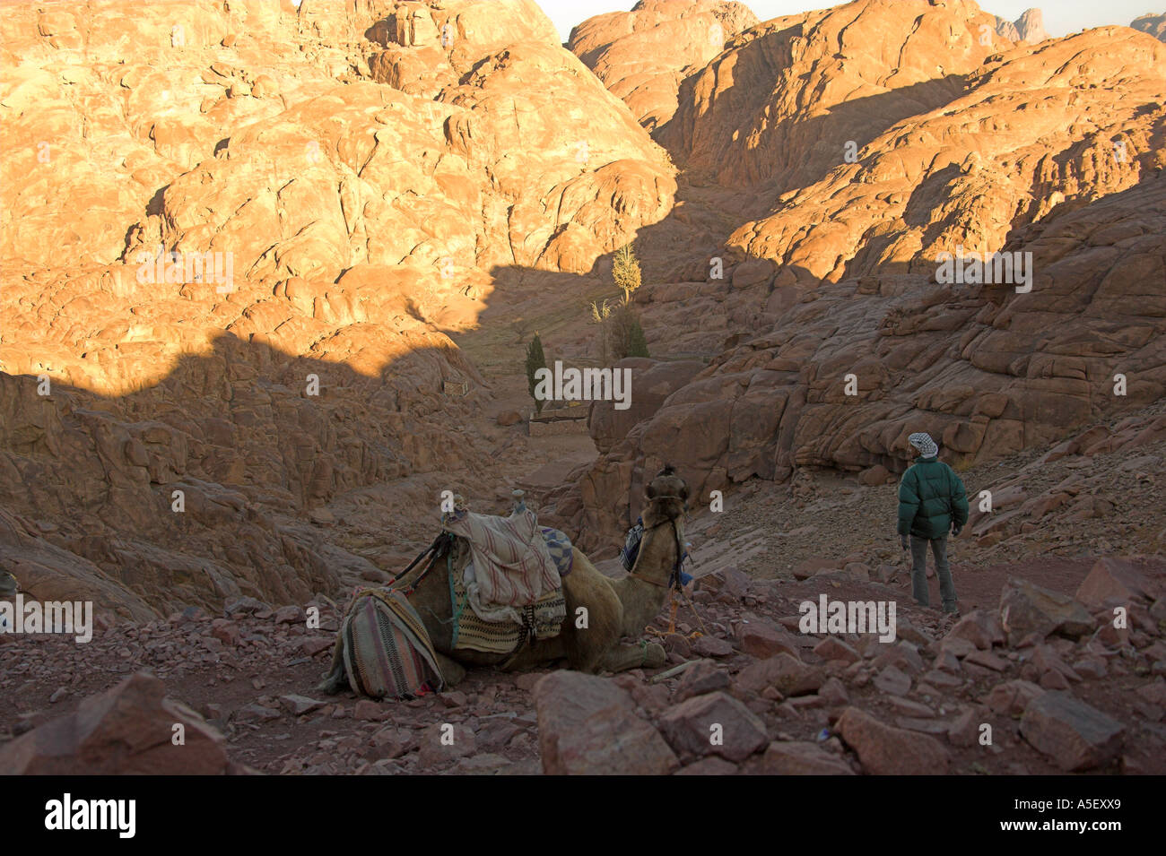Moses Mountain, Sinai Peninsular, Egypt. Where God Handed Down the Ten ...