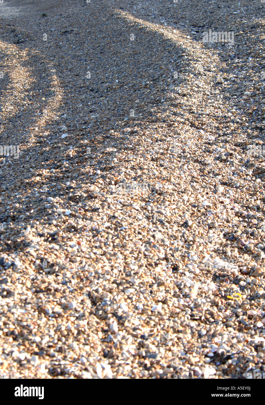 curve of light on pebble beach Stock Photo - Alamy