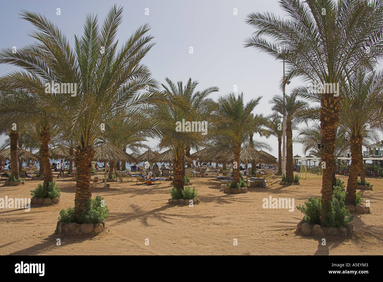 Beach Area, Sharm El Sheik, Red Sea, Egypt Stock Photo - Alamy