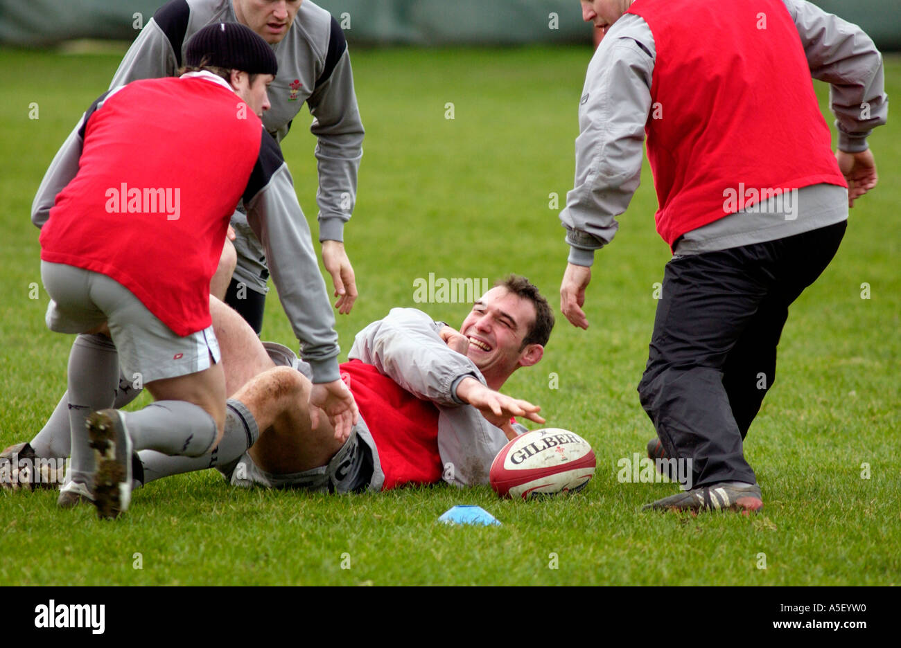 Welsh rugby union rugby ball hi-res stock photography and images - Alamy