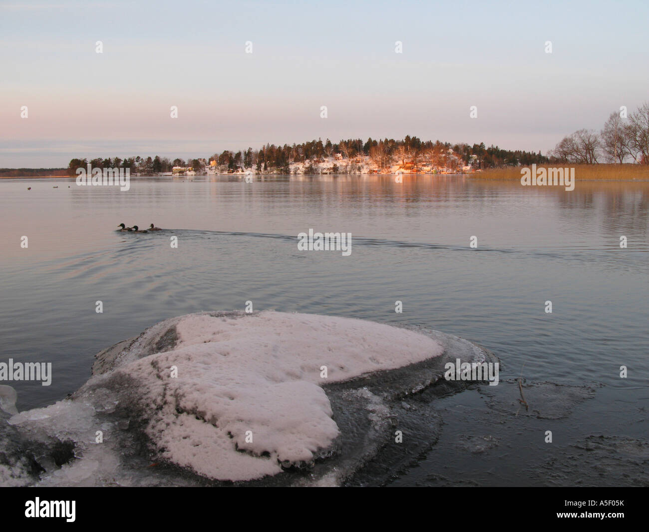 Island in lake Mälaren, Stockholm, Sweden Stock Photo - Alamy