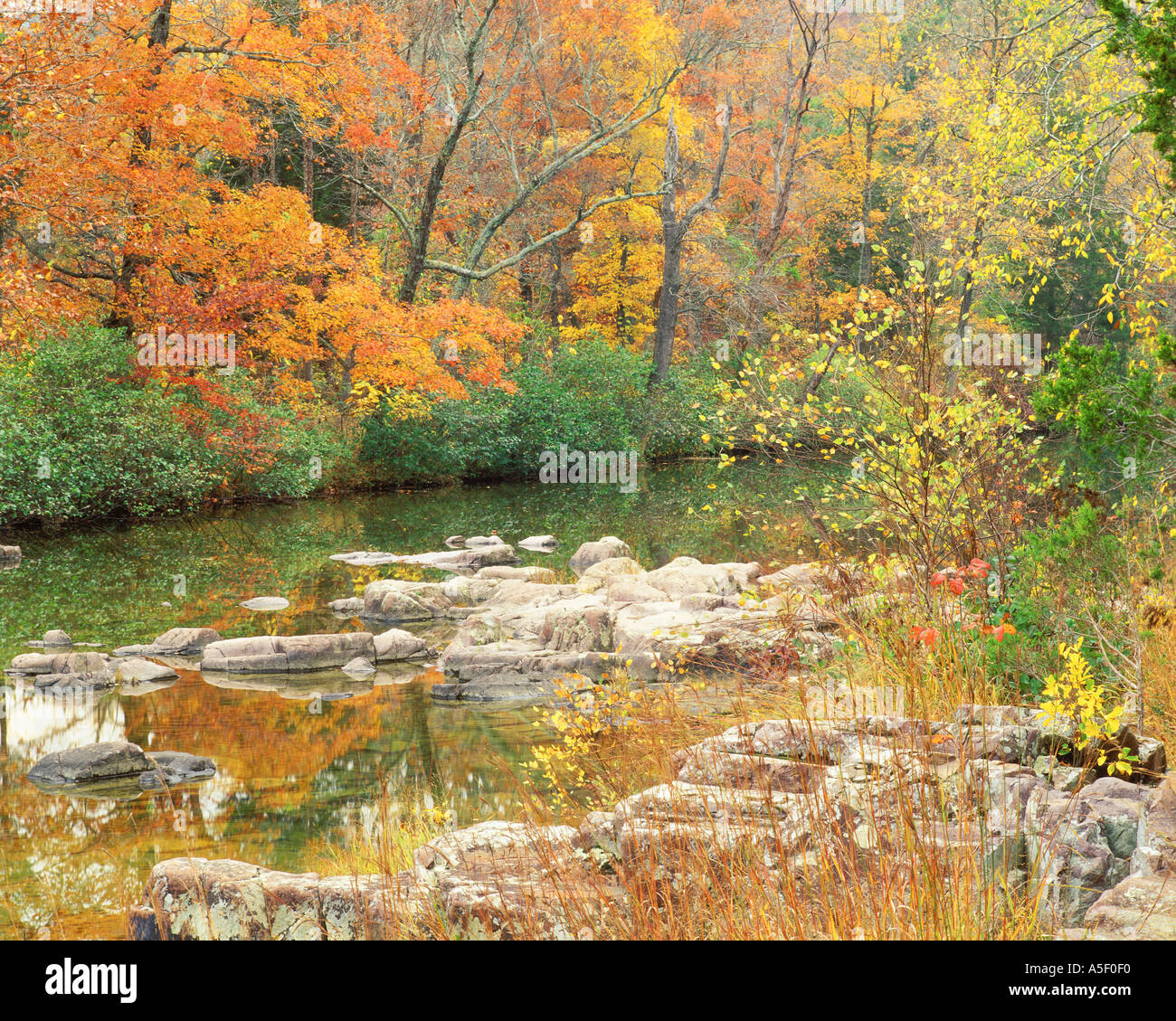 Autumn color along Marble Creek Stock Photo - Alamy
