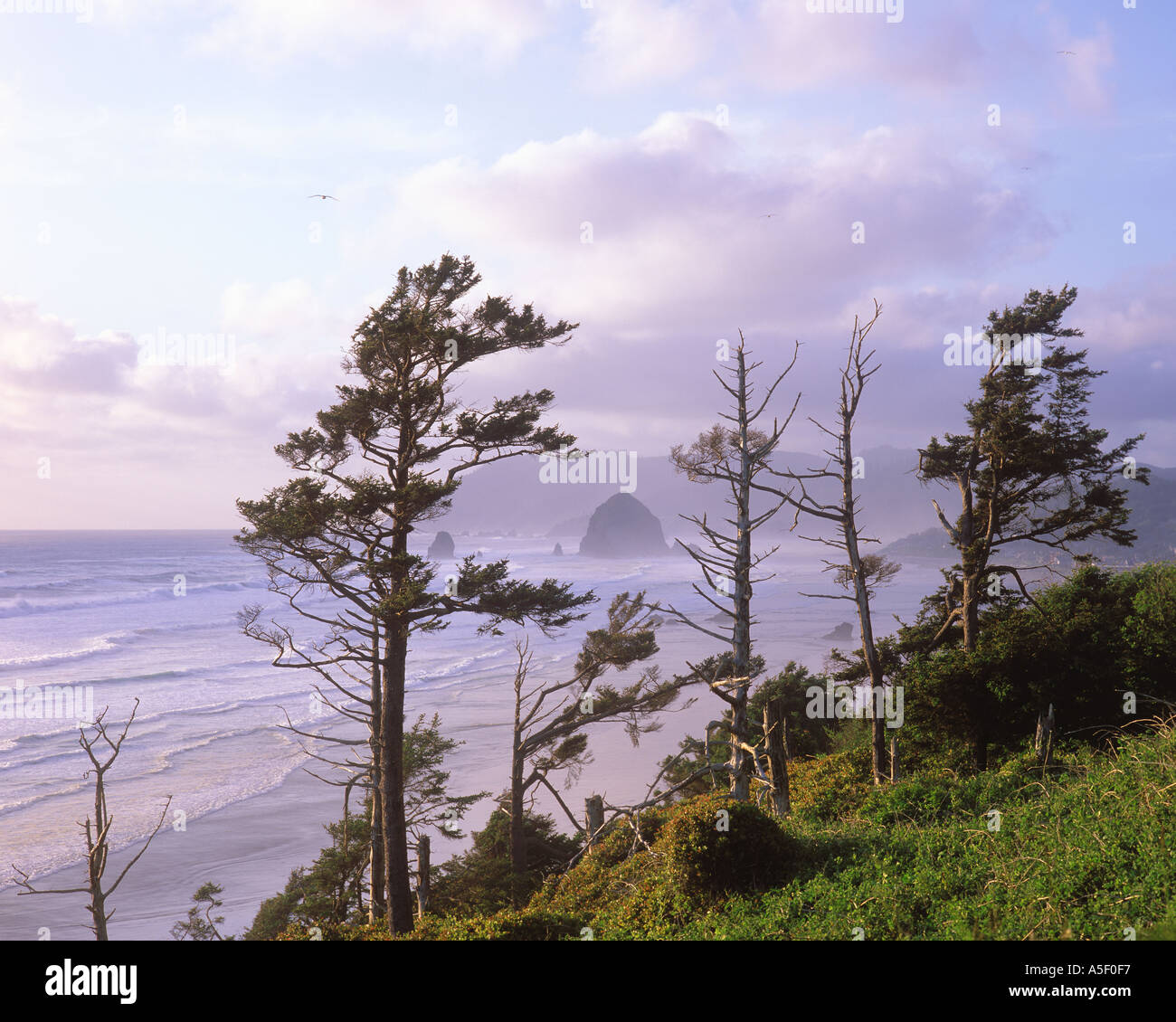 Pacific Ocean shoreline with Haystack Rock Cannon Beach Oregon USA ...