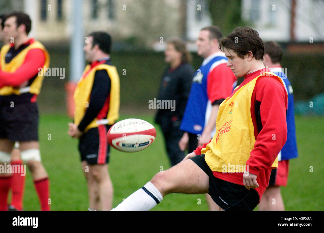 Welsh rugby union rugby ball hi-res stock photography and images - Alamy