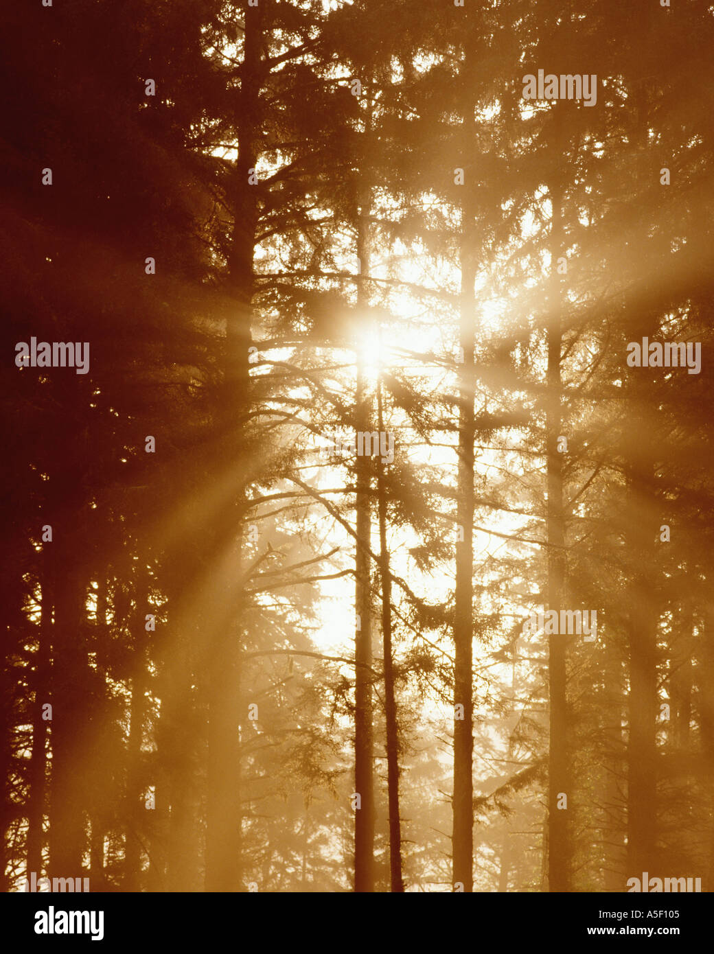 God rays hi-res stock photography and images - Alamy