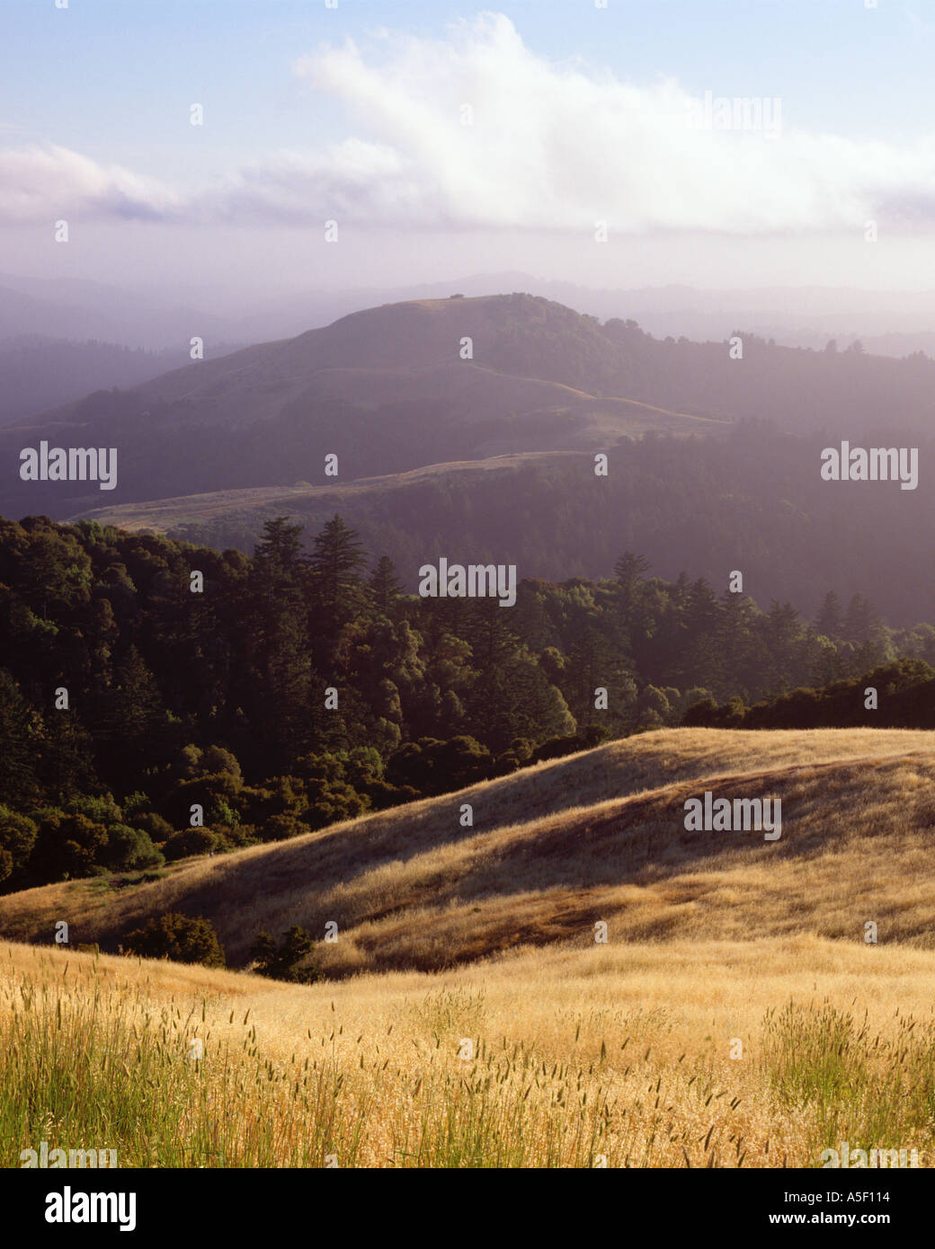 Santa Cruz Mountains and ocean fog Russian Ridge Open Space Preserve ...