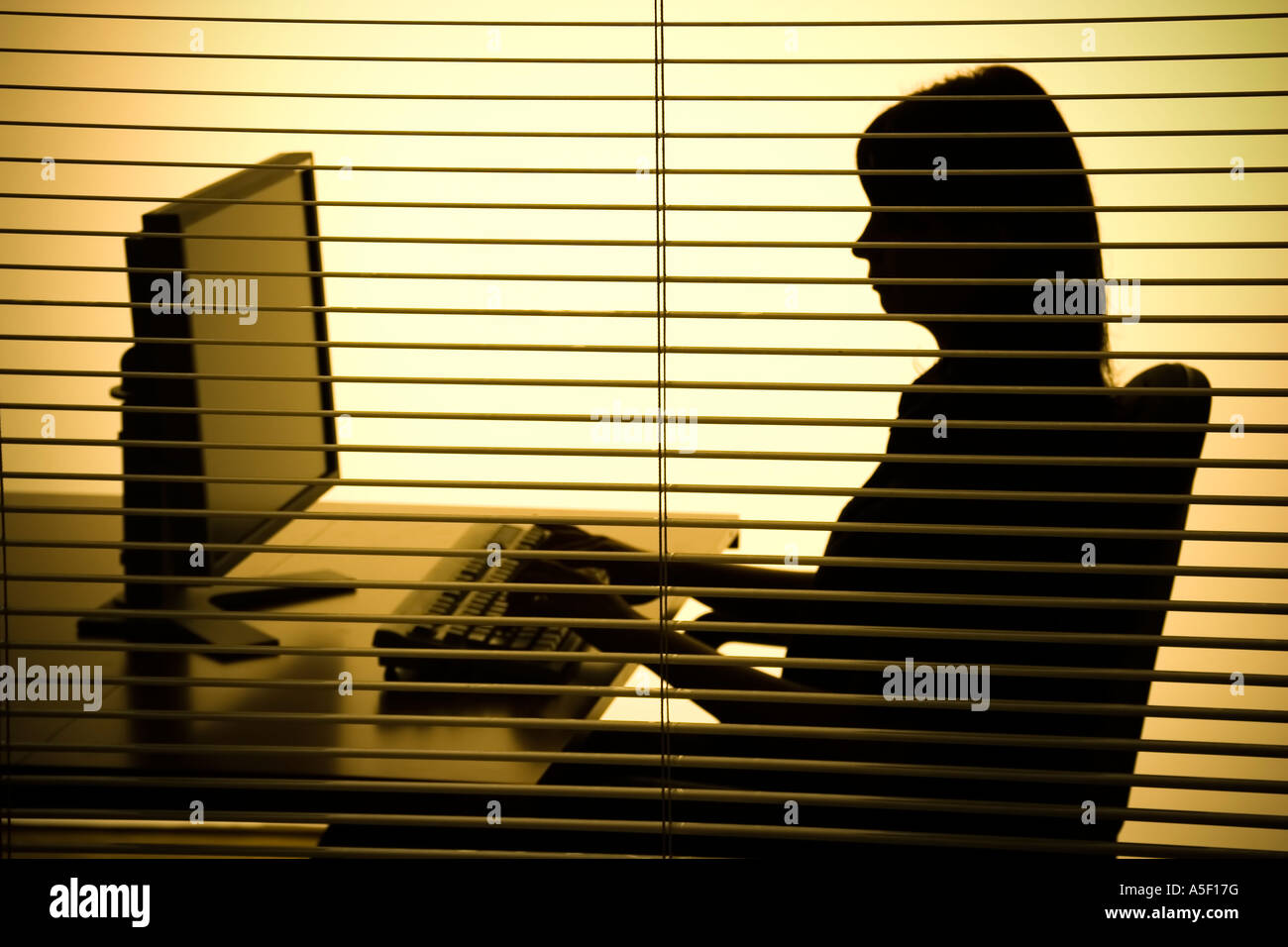 isolated on gold silhouette of woman working computer focus on the ...