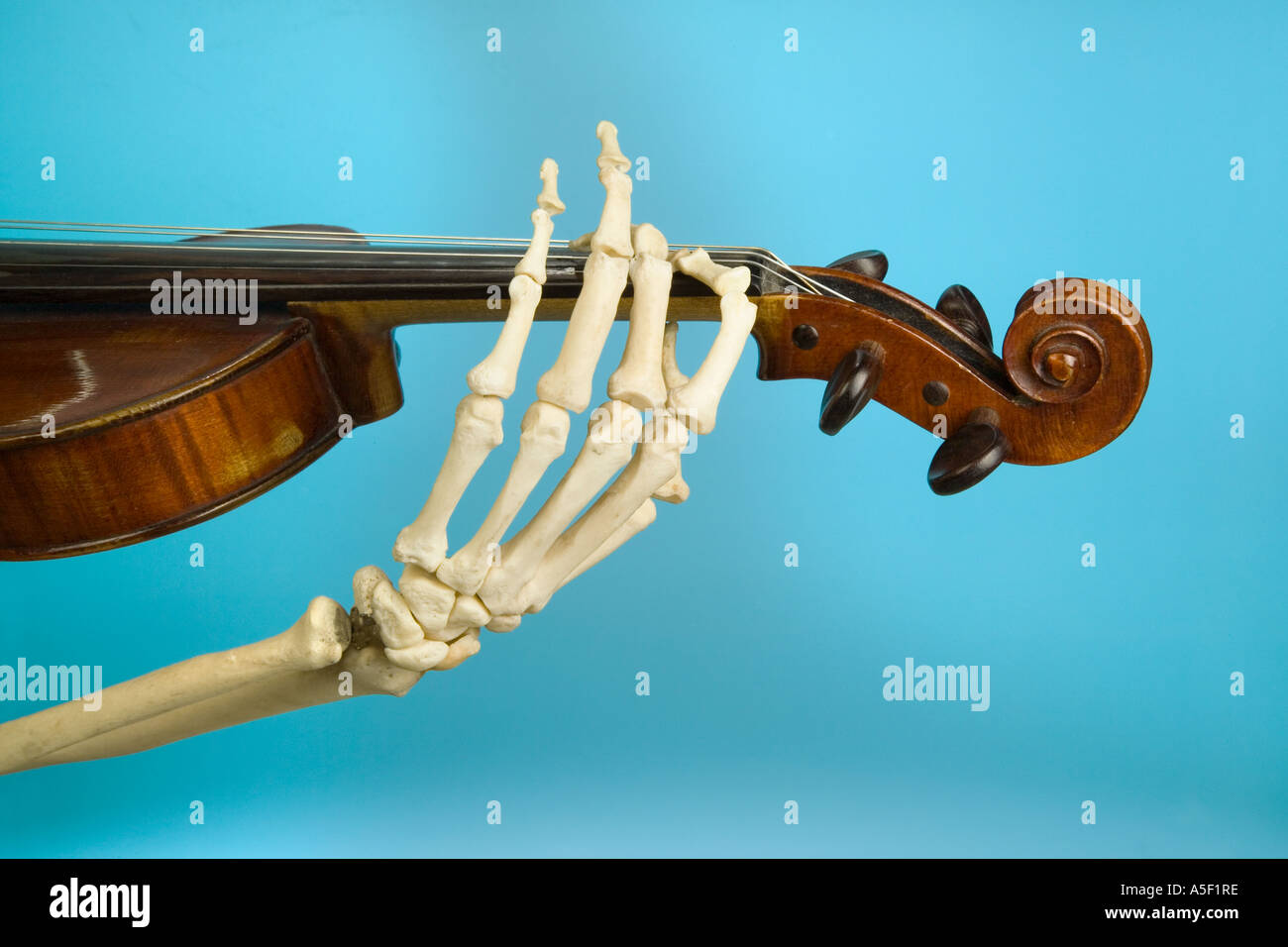 Skeleton hand playing violin hi-res stock photography and images - Alamy