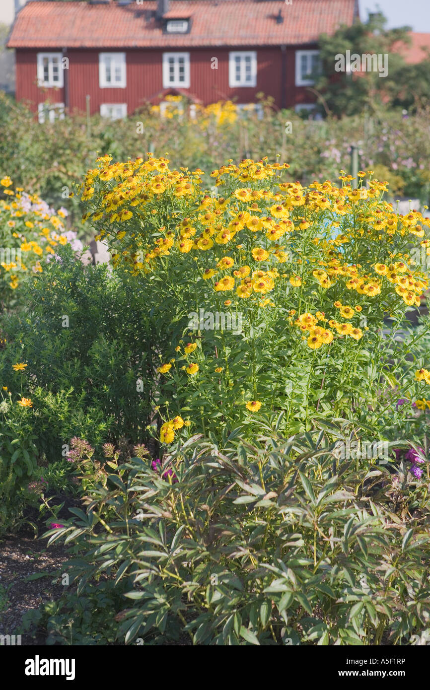 Garden in Sweden Stock Photo - Alamy