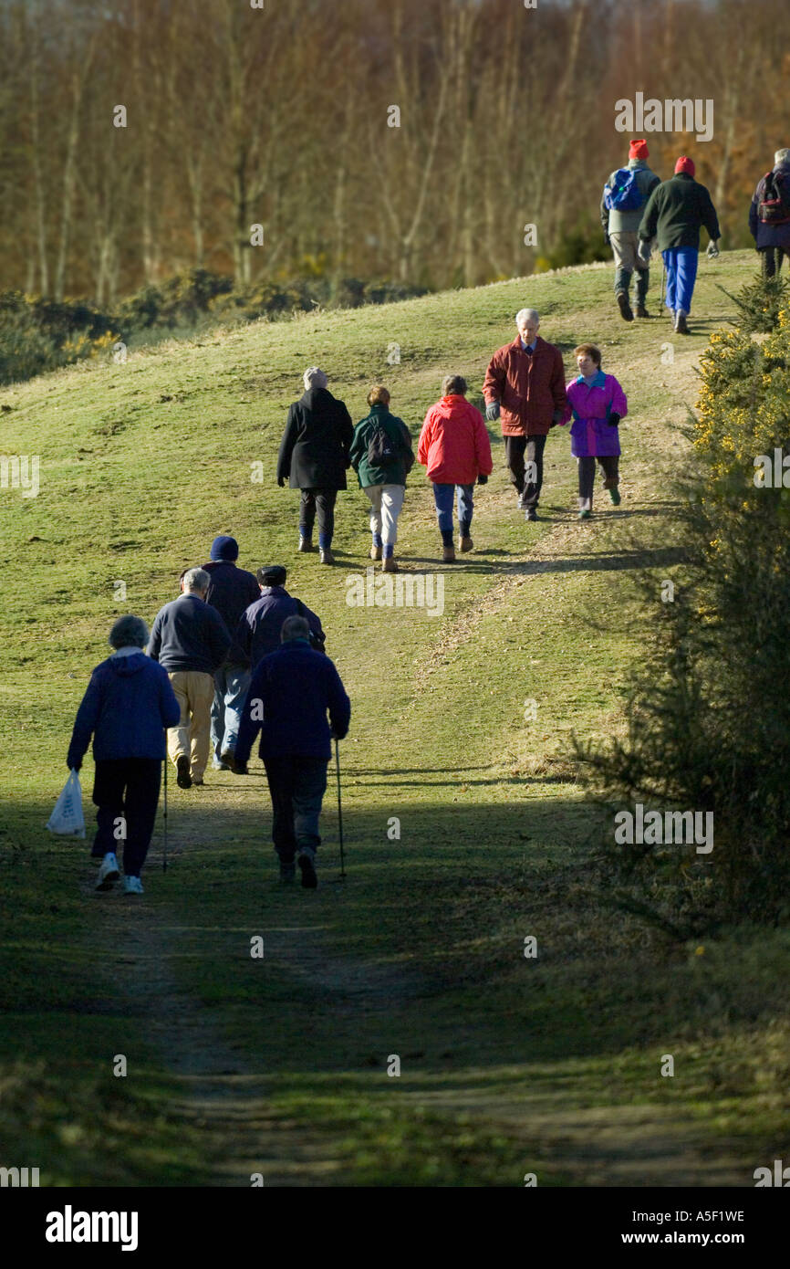 Ramblerling hi-res stock photography and images - Alamy