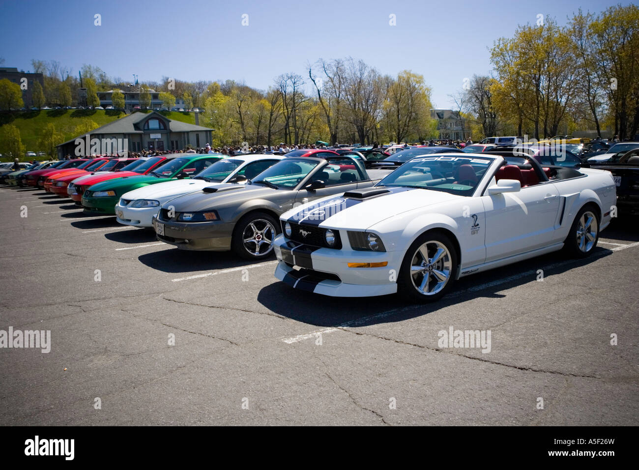 Concourse car hi-res stock photography and images - Alamy