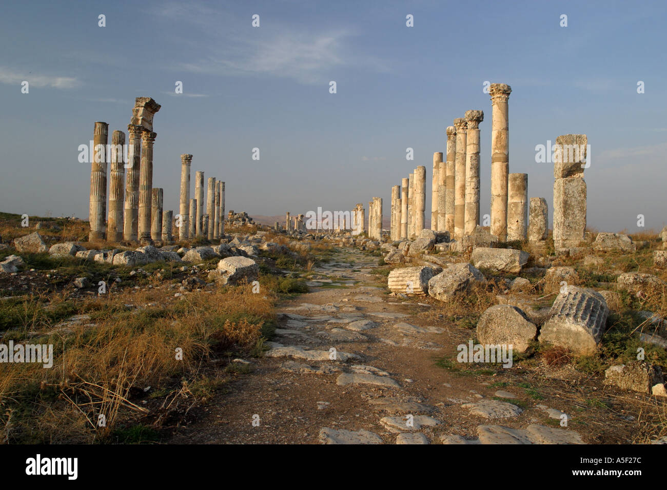 Ruins of Afamia Syria Stock Photo - Alamy