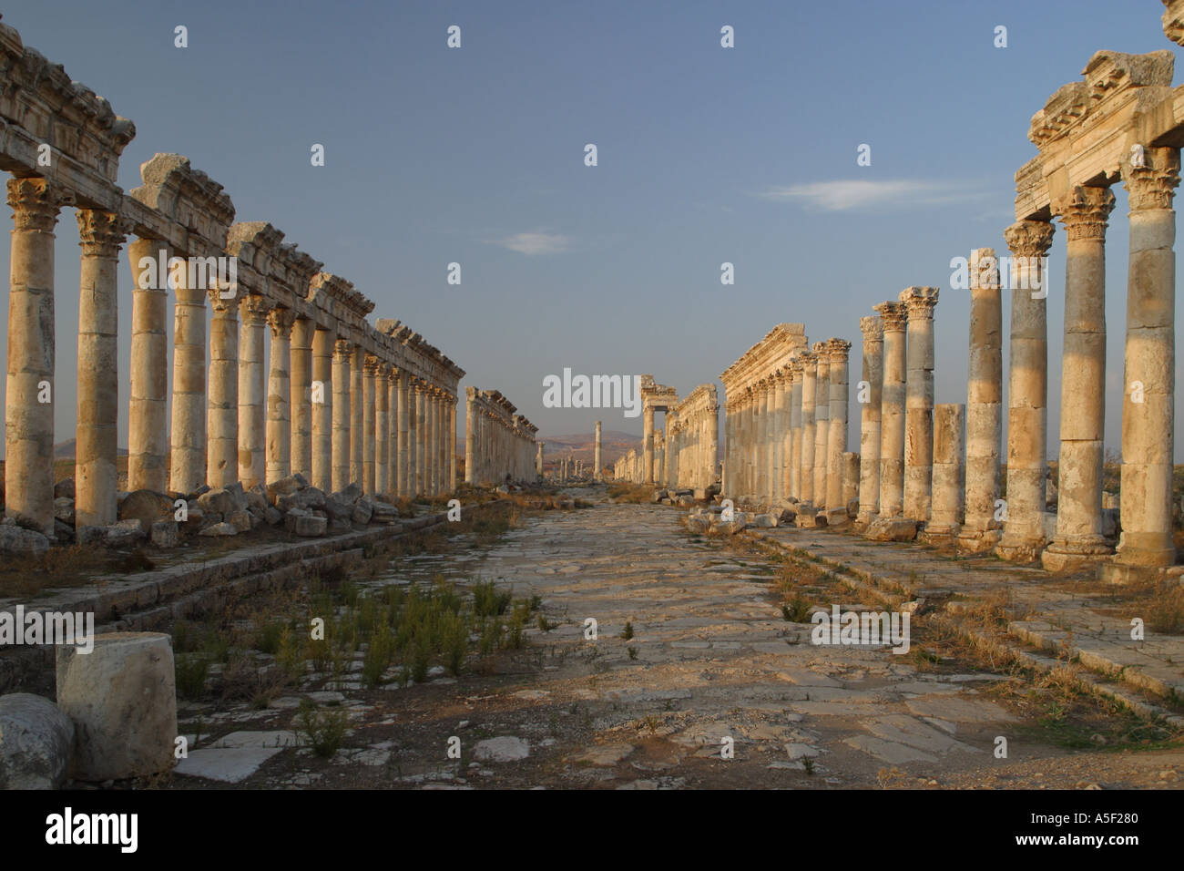 Ruins of Afamia Syria Stock Photo - Alamy