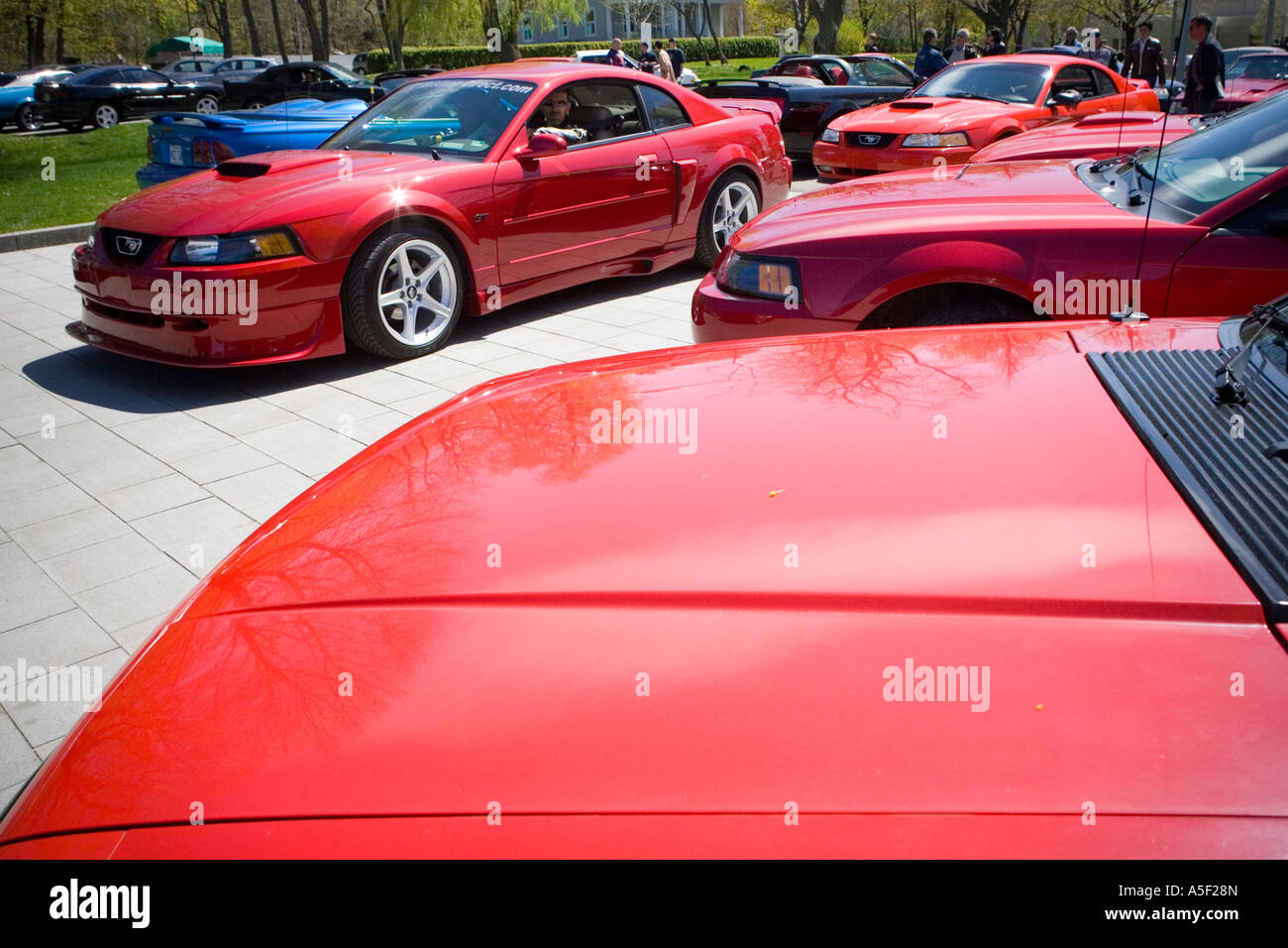 Concourse car hi-res stock photography and images - Alamy