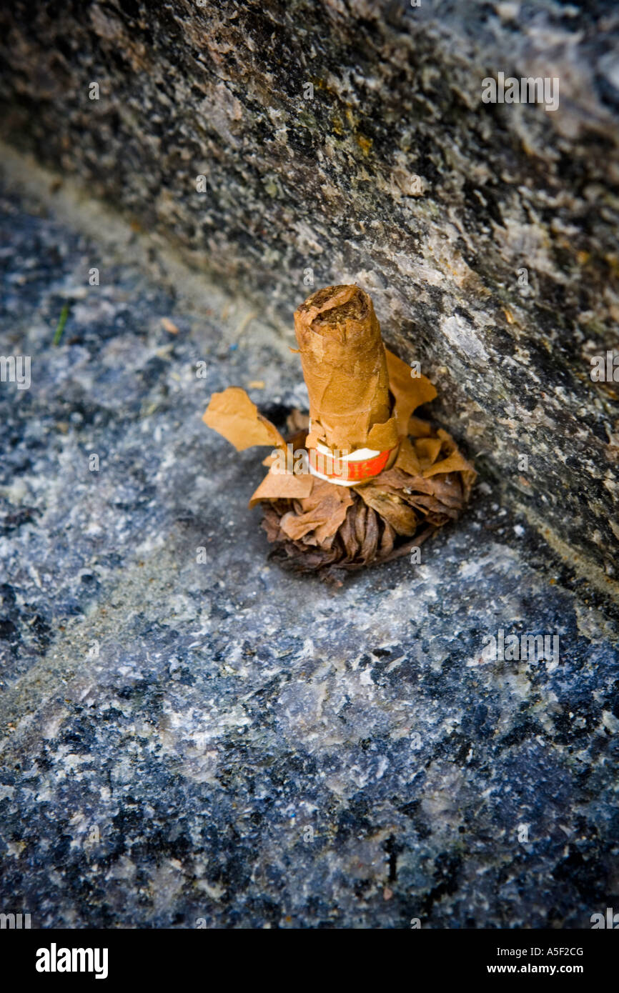 Stubbed out cigar on a pavement in Montreal Stock Photo - Alamy