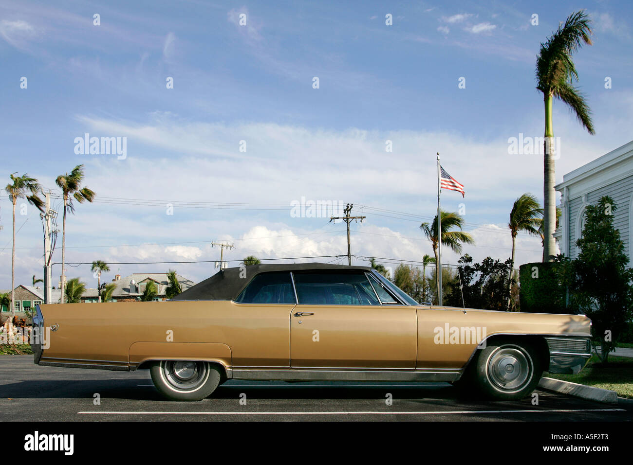 Honda classic palm beaches hi-res stock photography and images - Alamy