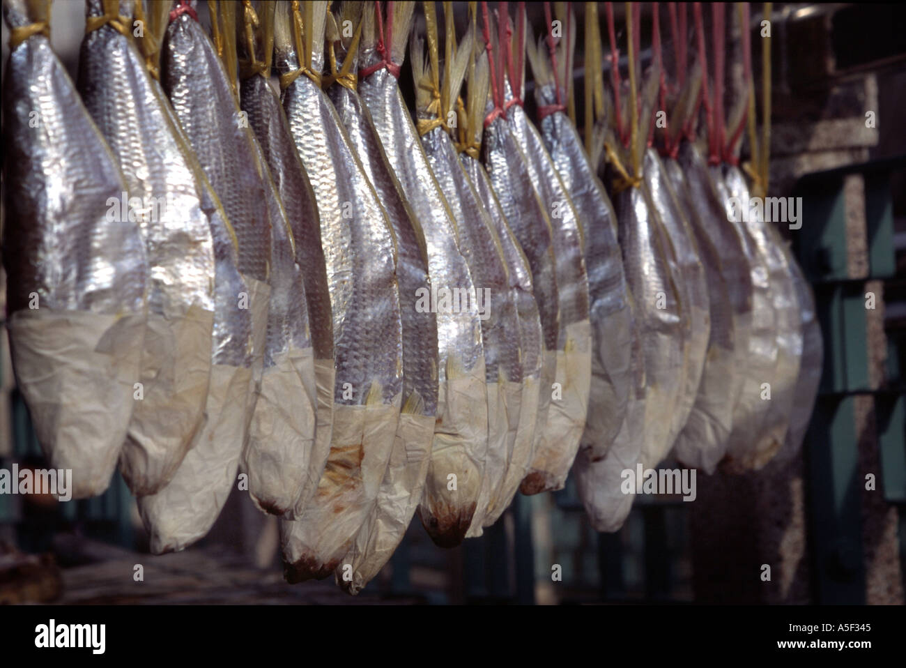 Putrid fish hi-res stock photography and images - Alamy