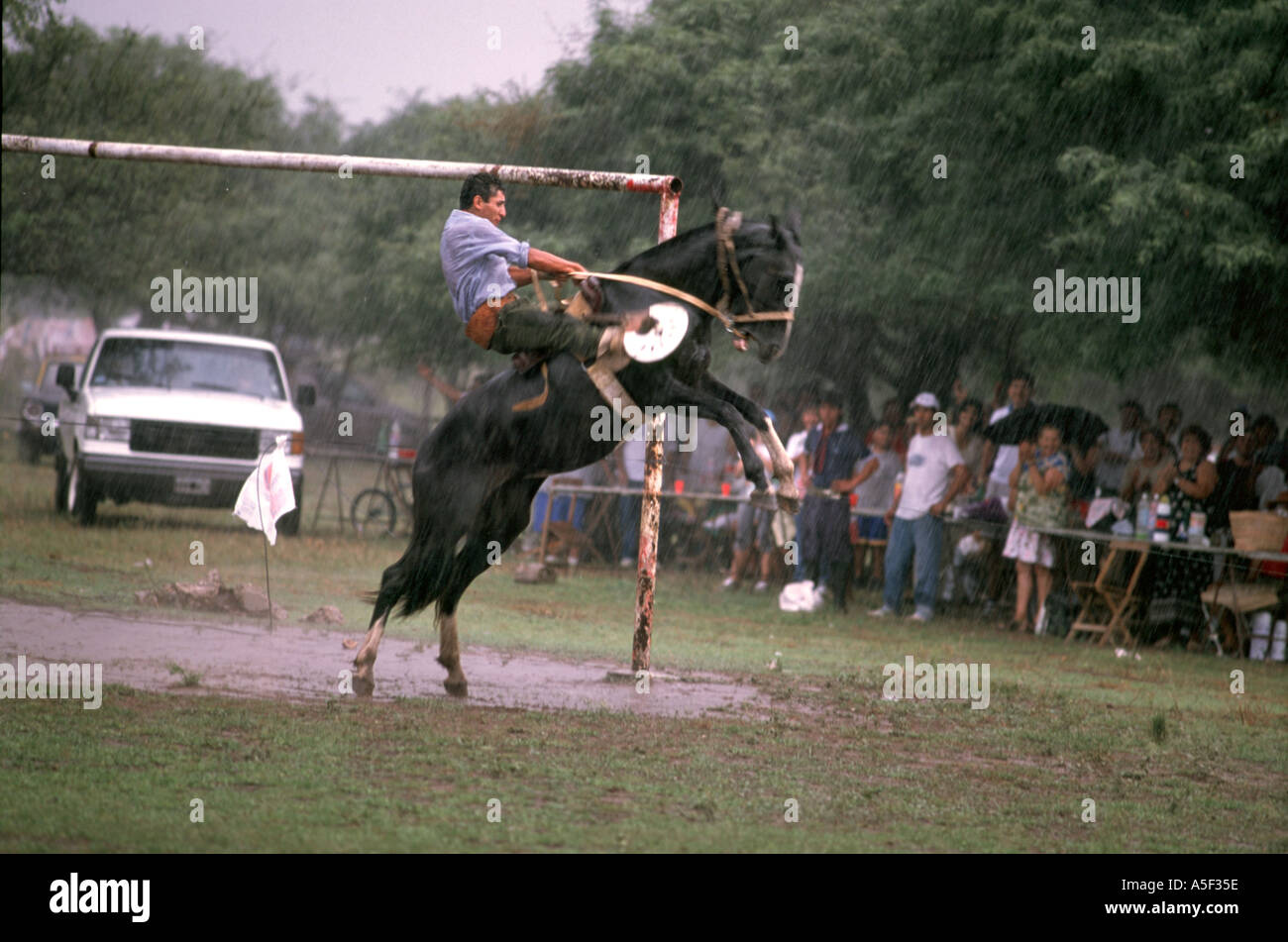 Argentinean gaucho taming a horse under the rain in a local rodeo Stock ...