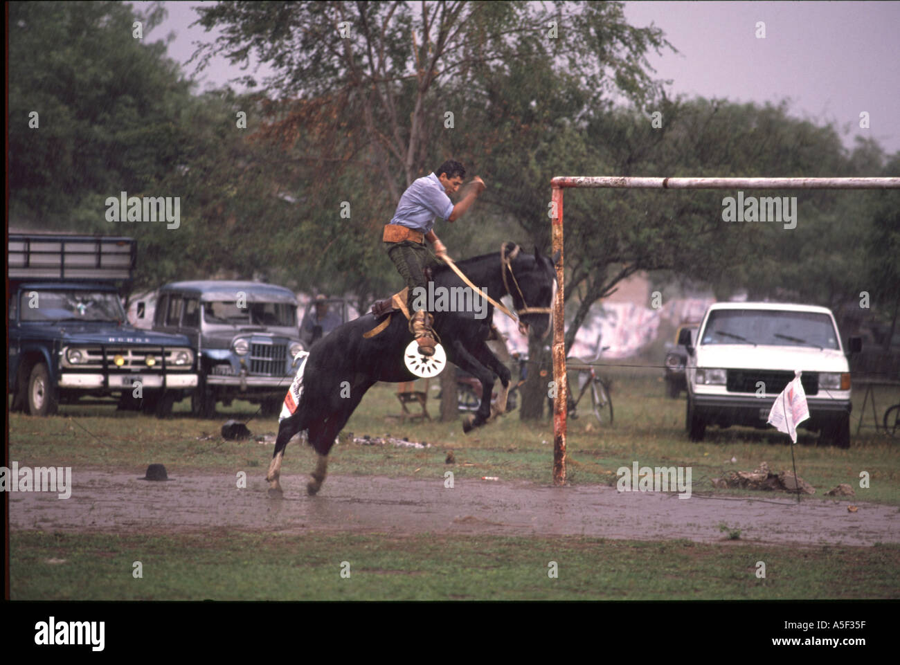 Argentinean gaucho taming a horse under the rain in a local rodeo Stock ...
