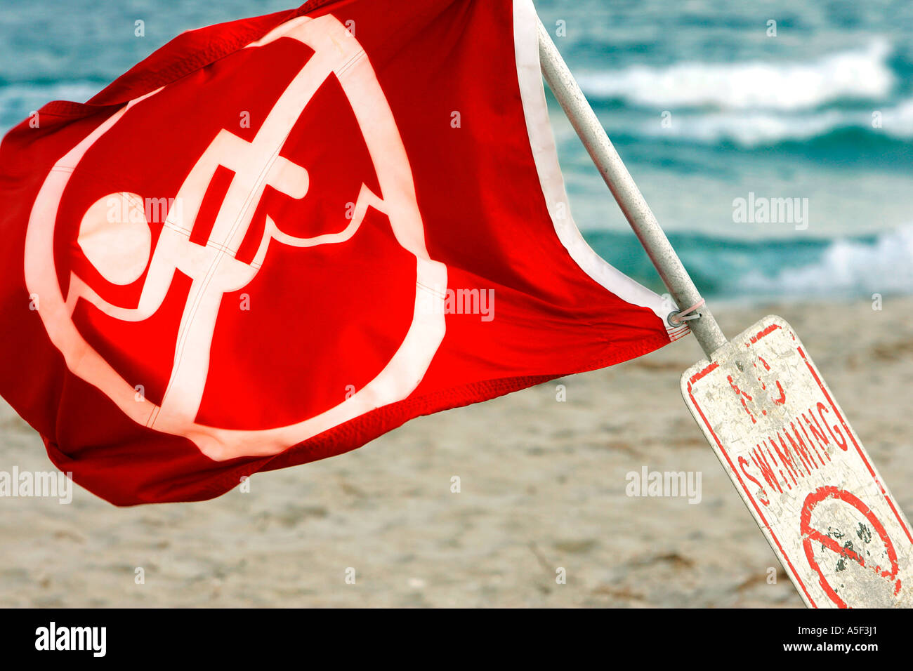 no swimming red flag on a beach ban prohibit windy sea water danger ...