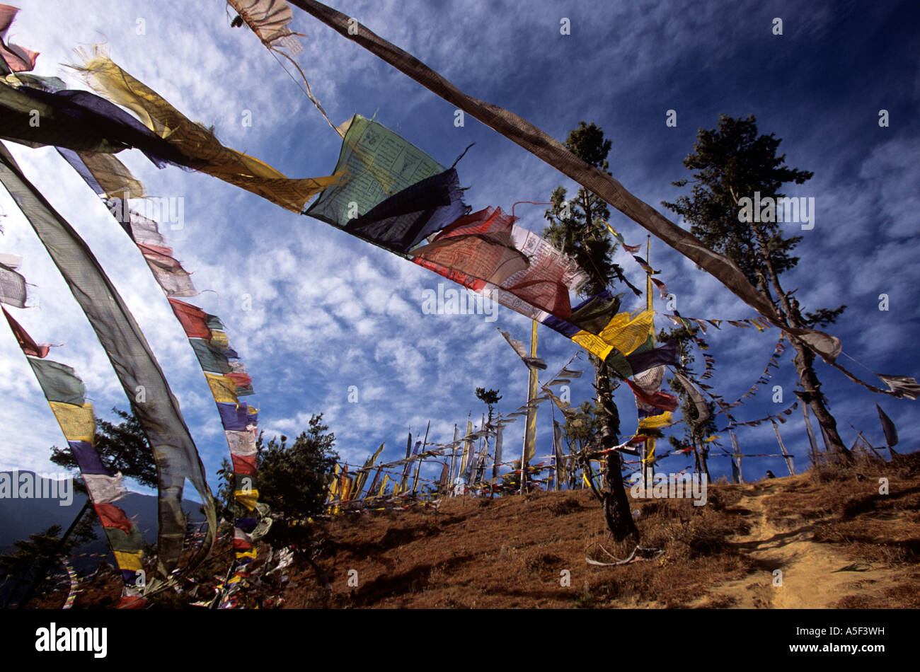 Buddhist prayer flags fluttering in countryside, Bhutan Stock Photo - Alamy