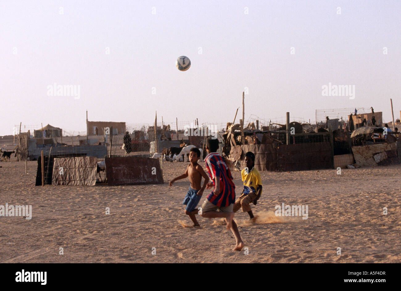 Children from Saharawi refugee camp playing football in the evening ...