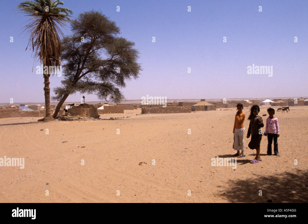 Children in Saharawi refugee camp, Tindouf, Western Algeria Stock Photo ...
