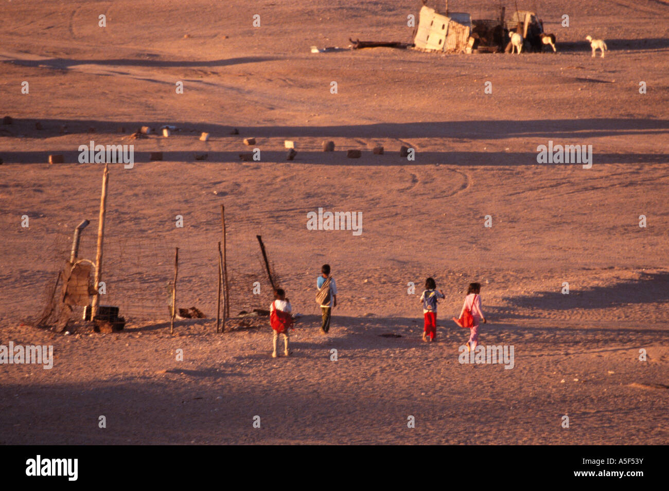 Children in the Saharawi refugee camp in Tindouf Western Algeria Stock ...